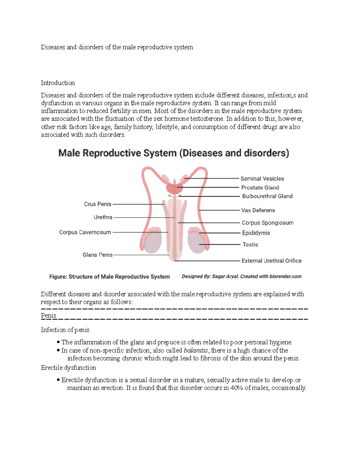 Diseases and disorders of the male reproductive system - Diseases and ...