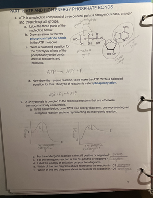 Cell Biology: Cell Structure - Eukaryotic Cells and Electron Microscopy ...