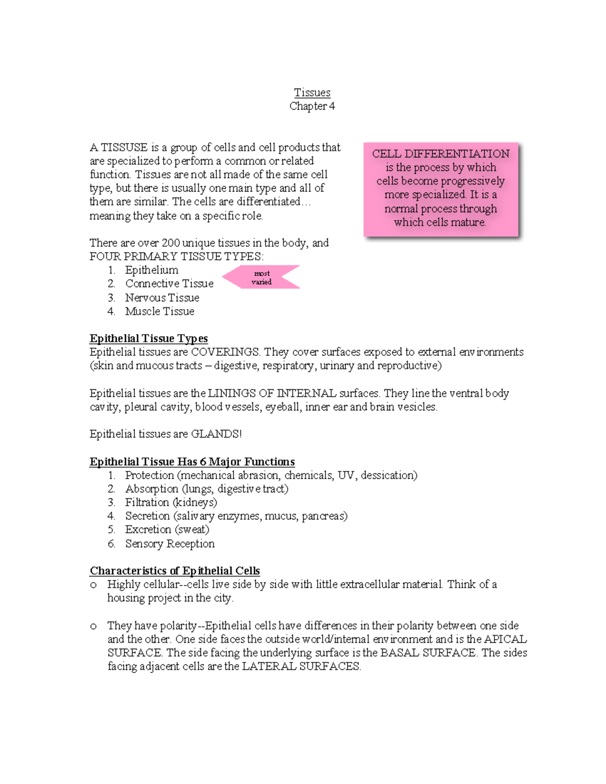 AP-4-Tissues - Lecture notes 4 - Tissues Chapter 4 A TISSUSE is a group ...
