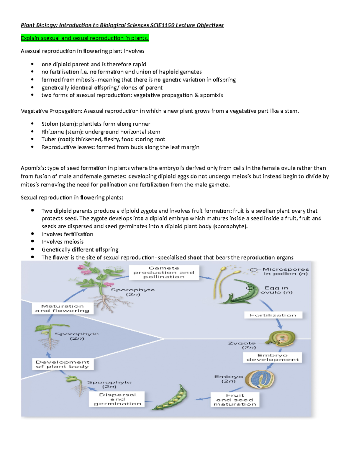 Plant Biology SCIE 1150 notes - Plant Biology: Introduction to ...