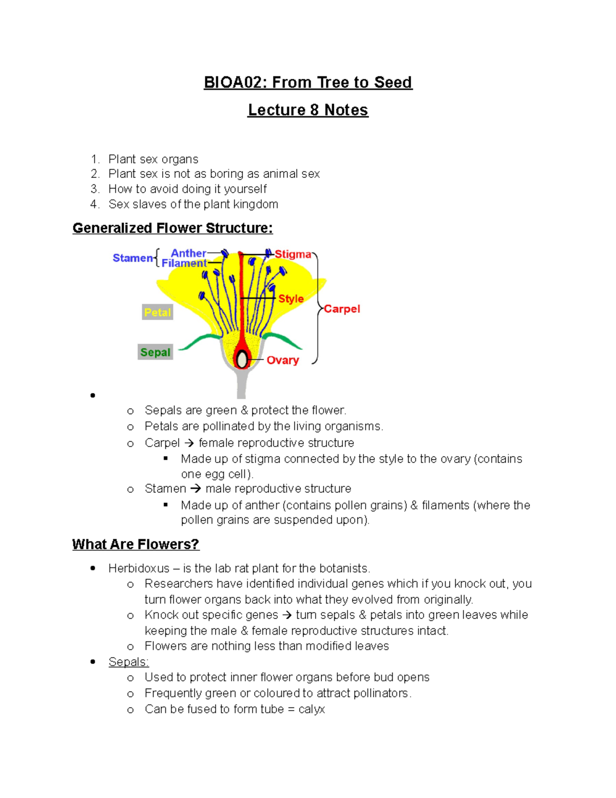 Bioa02 Lecture 8 Notes Module 1 Ivana Stehlik Bioa02 From Tree To Seed Lecture 8 Notes