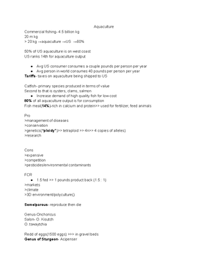 Horses Notes and Definitions - Horses Evolved 1 million years ago ...