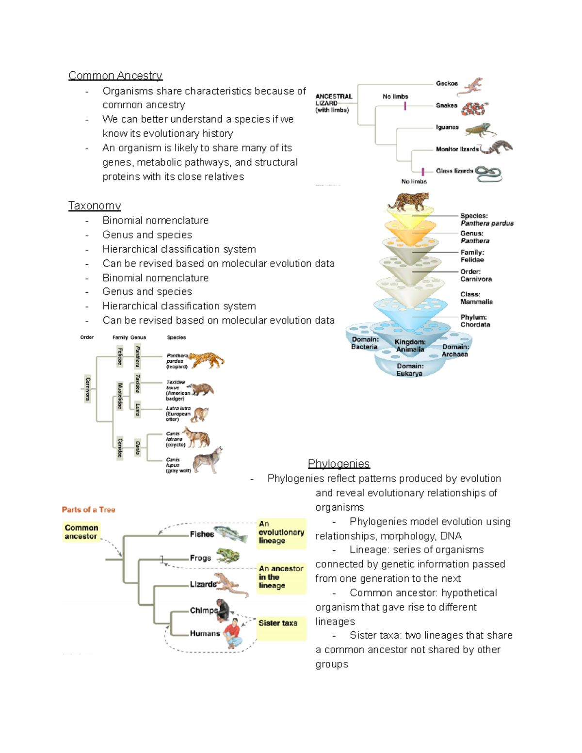 16 - notes - Common Ancestry Organisms share characteristics because of ...