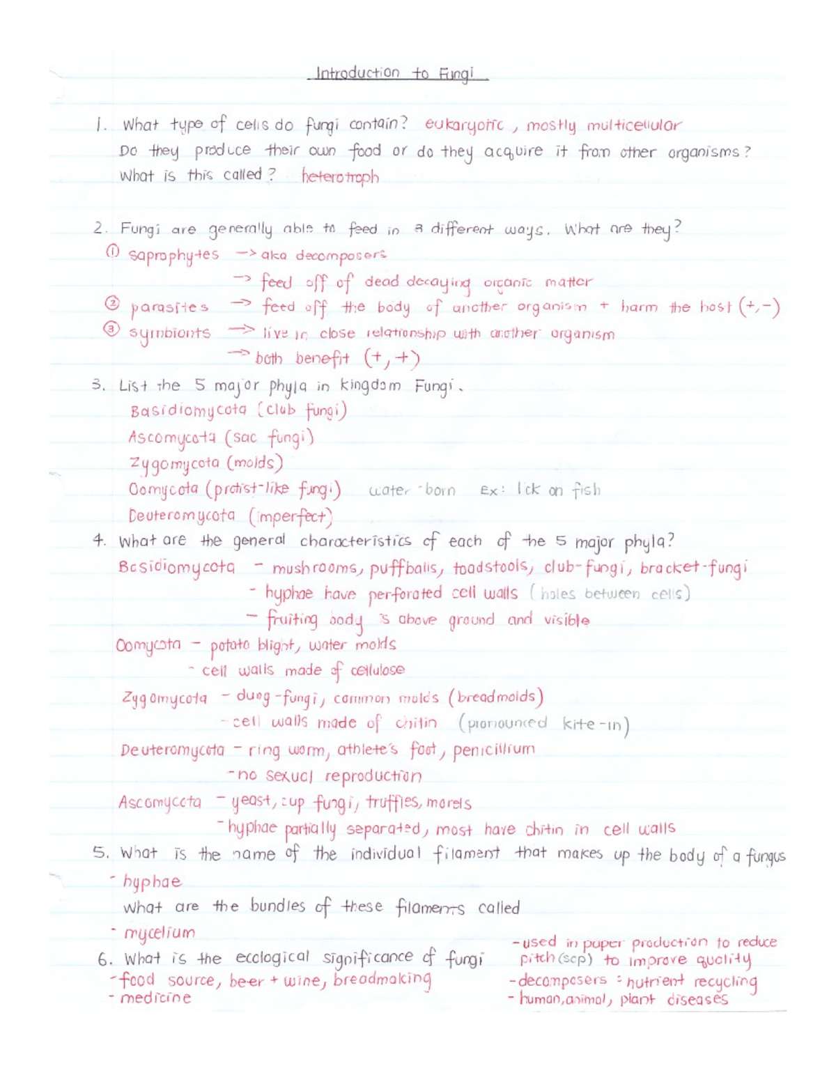 Introduction-to-fungi - Introduction to Fungi 1. What type of cells do ...