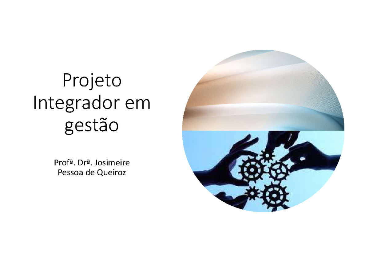 Proj Integ em Gestao - Projeto Integrador em gestão Profª. Drª. Josimeire Pessoa de Queiroz ...