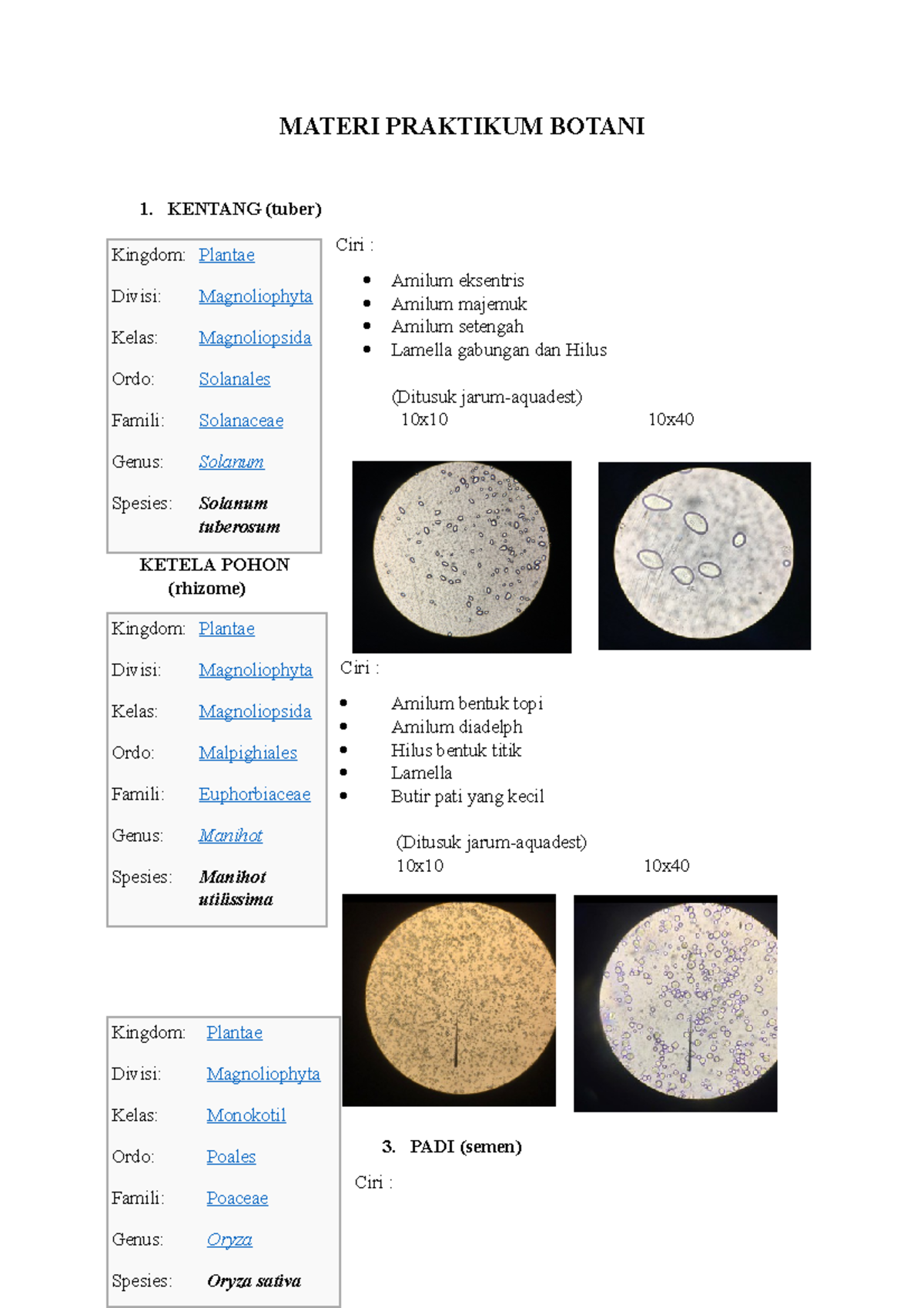 Materi Praktikum Botani Revisi - MATERI PRAKTIKUM BOTANI KENTANG (tuber ...