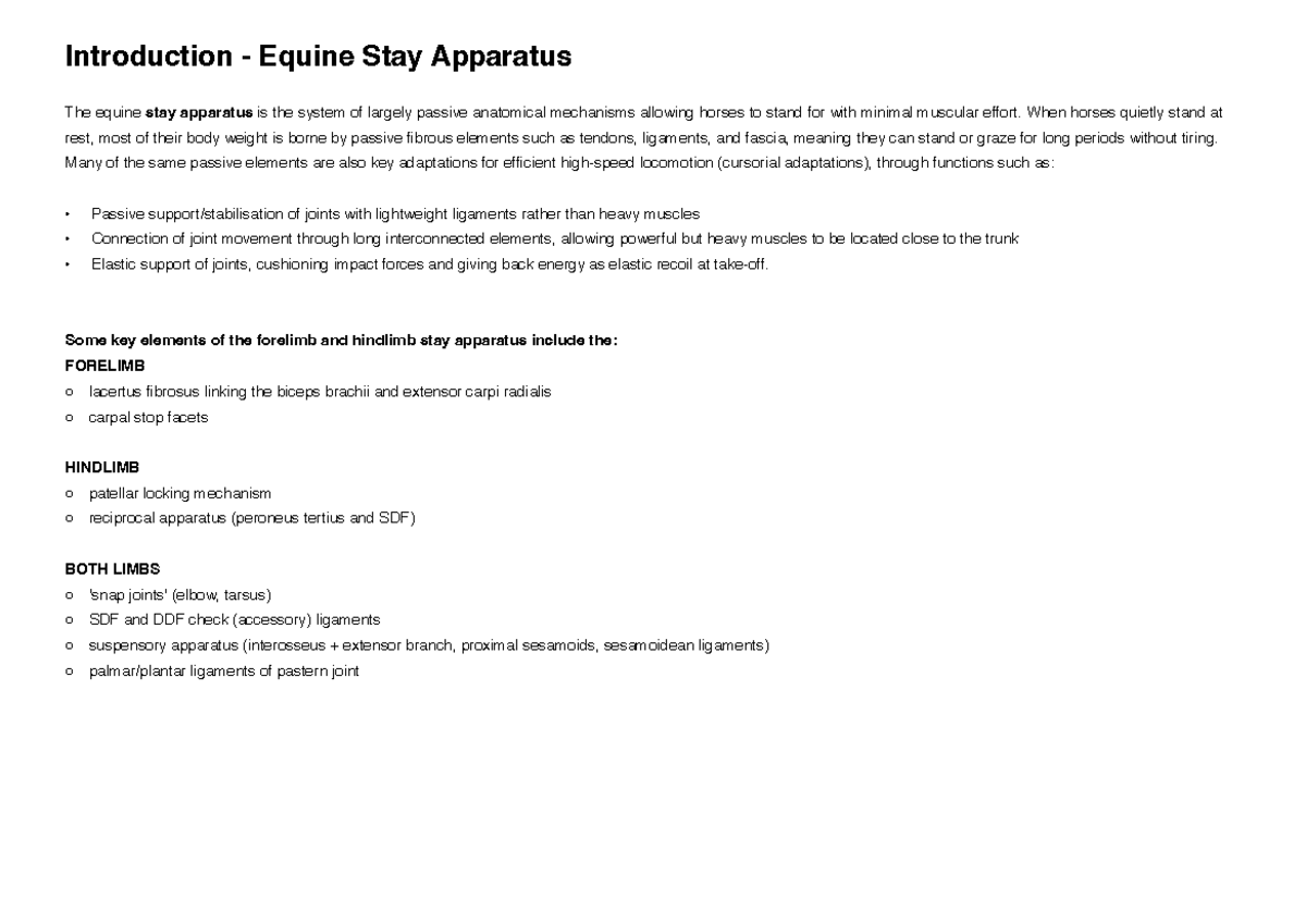 18. Equine Stay Apparatus - Introduction - Equine Stay Apparatus The ...