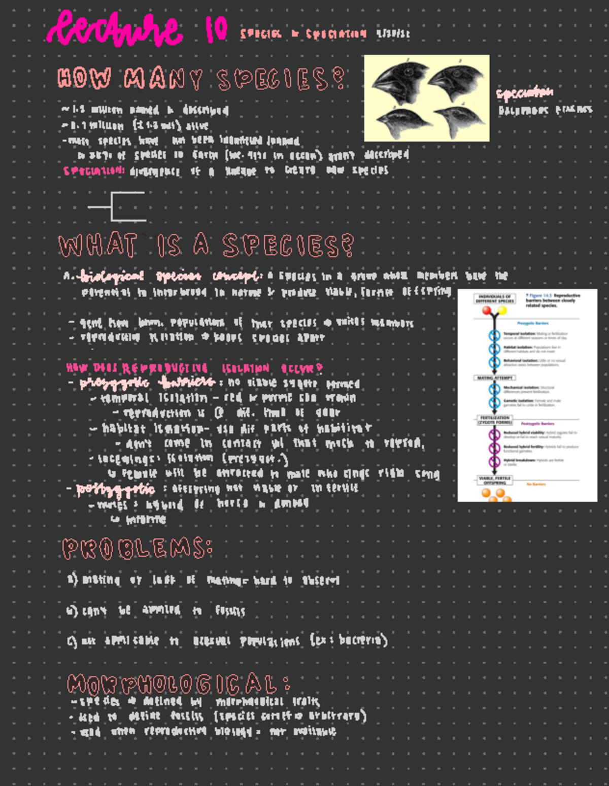 Bild 3 notes lecture 10 - Hammond, LaTisha Marie - GOKU / d SPECIES ...