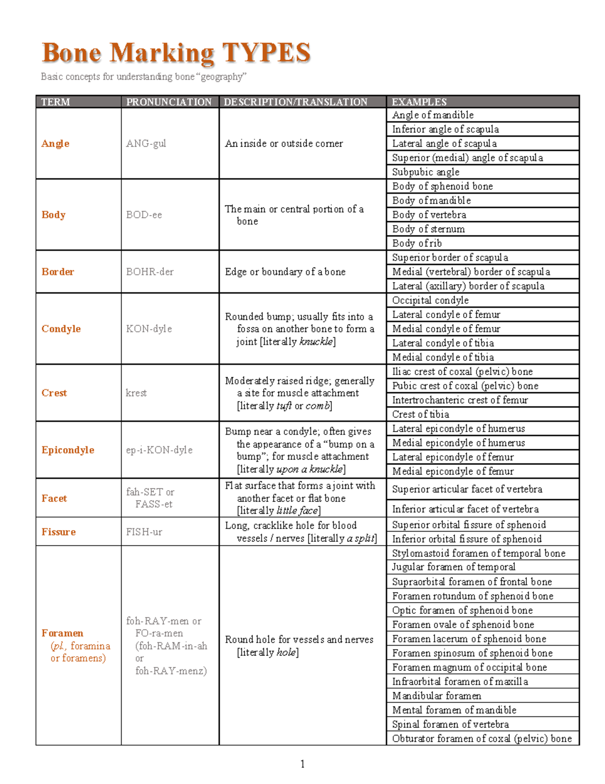 Bone Marking Types - 1 Bone Marking TYPES Basic concepts for ...