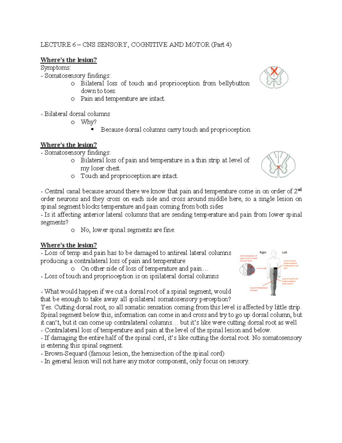 Lecture 6 – CNS Sensory, Cognitive AND Motor (Part 5) - LECTURE 6 – CNS SENSORY, COGNITIVE AND ...
