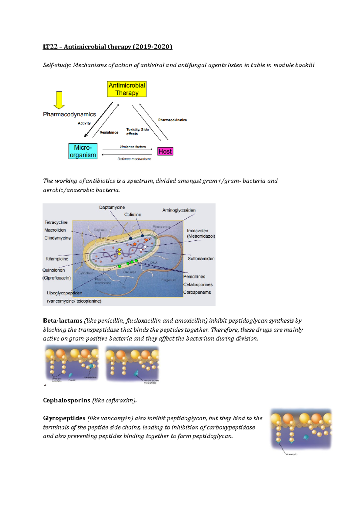MOD1 - LT22 Antimicrobial therapy - LT22 – Antimicrobial therapy (2019 ...