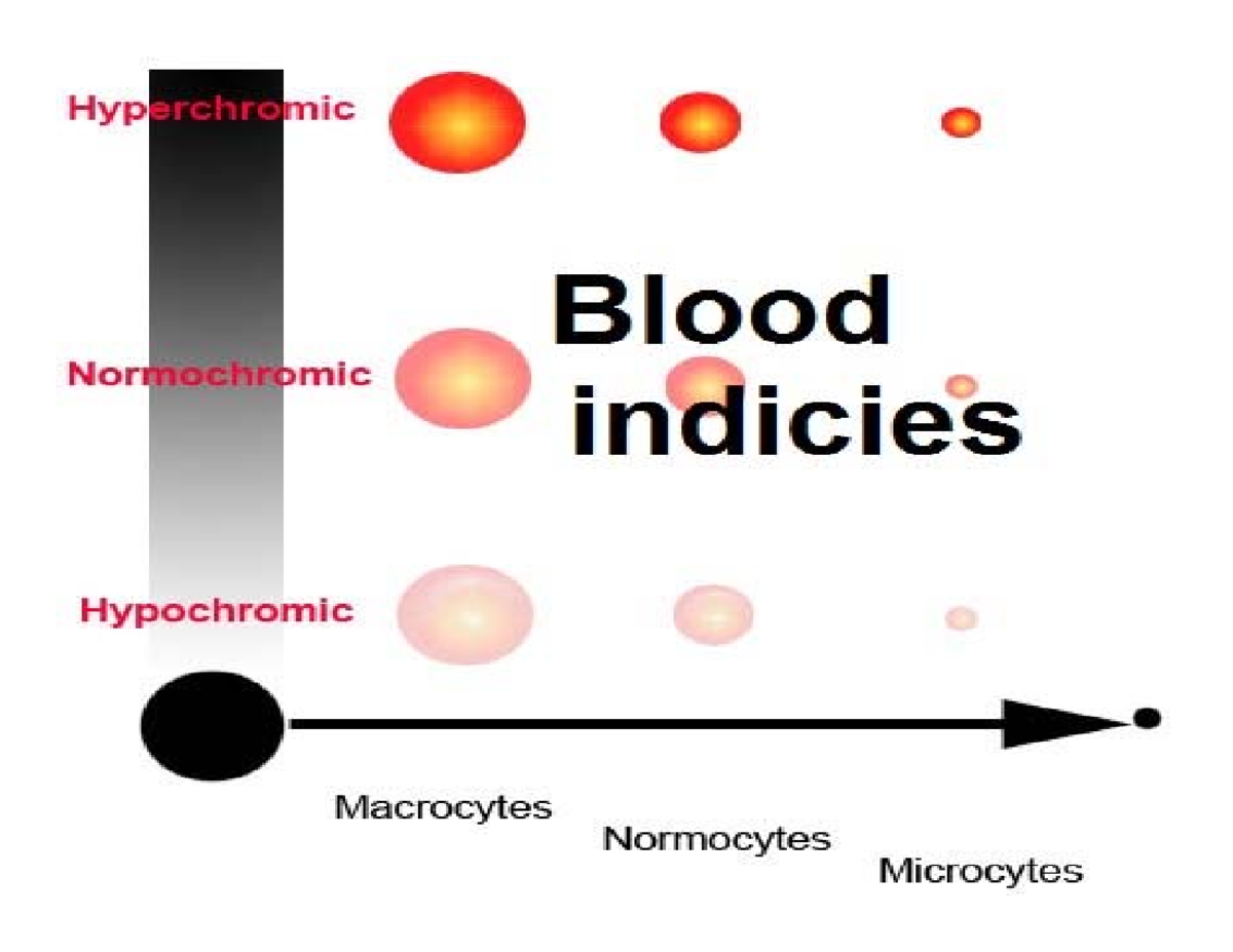 Mcq practical - Physiology - BLOOD INDICES Definition : They are ...