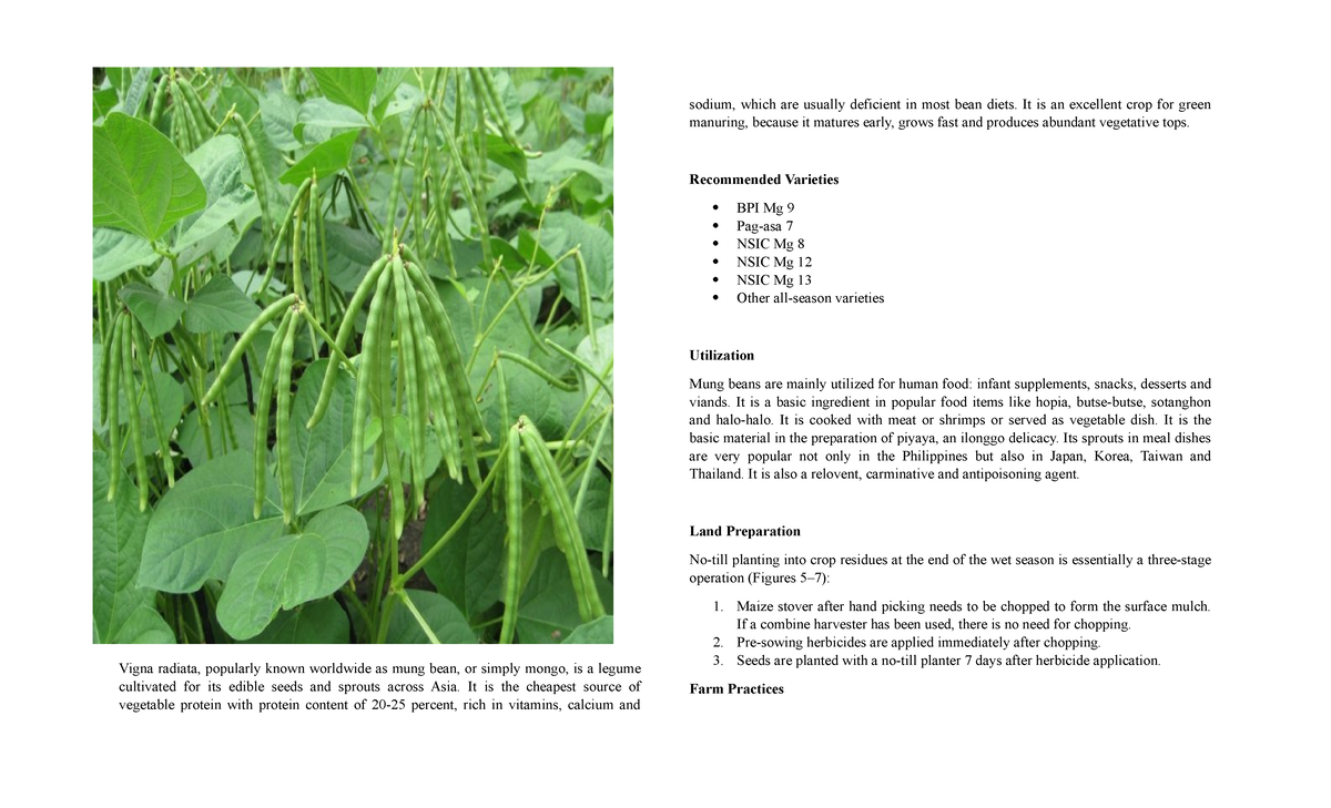 Watermelon production guide - sodium, which are usually deficient in ...