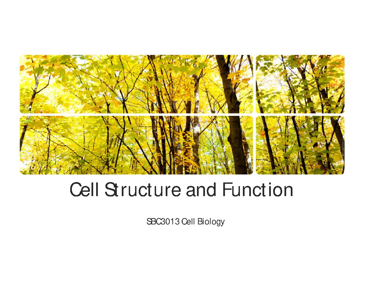 Week 4 CELL Structure AND Function - coporation biology - Cell Structure and Function SBC3013 ...