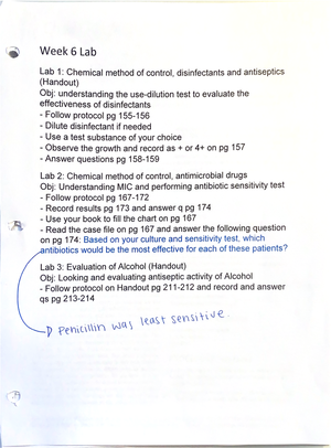Week 7 Chapter 19,20,21 - Chapter 19: Microbial diseases of the skin and wounds Structure of the ...
