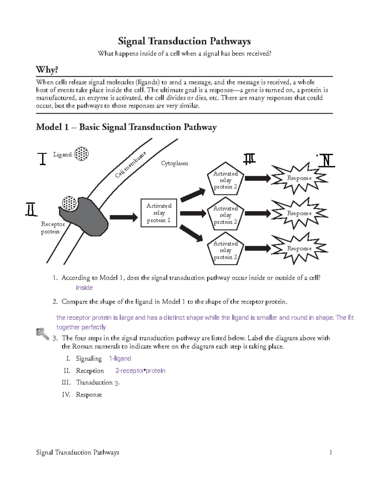 11 Signal Transduction Pathways-S-1-1 - Signal Transduction Pathways 1 Signal Transduction ...