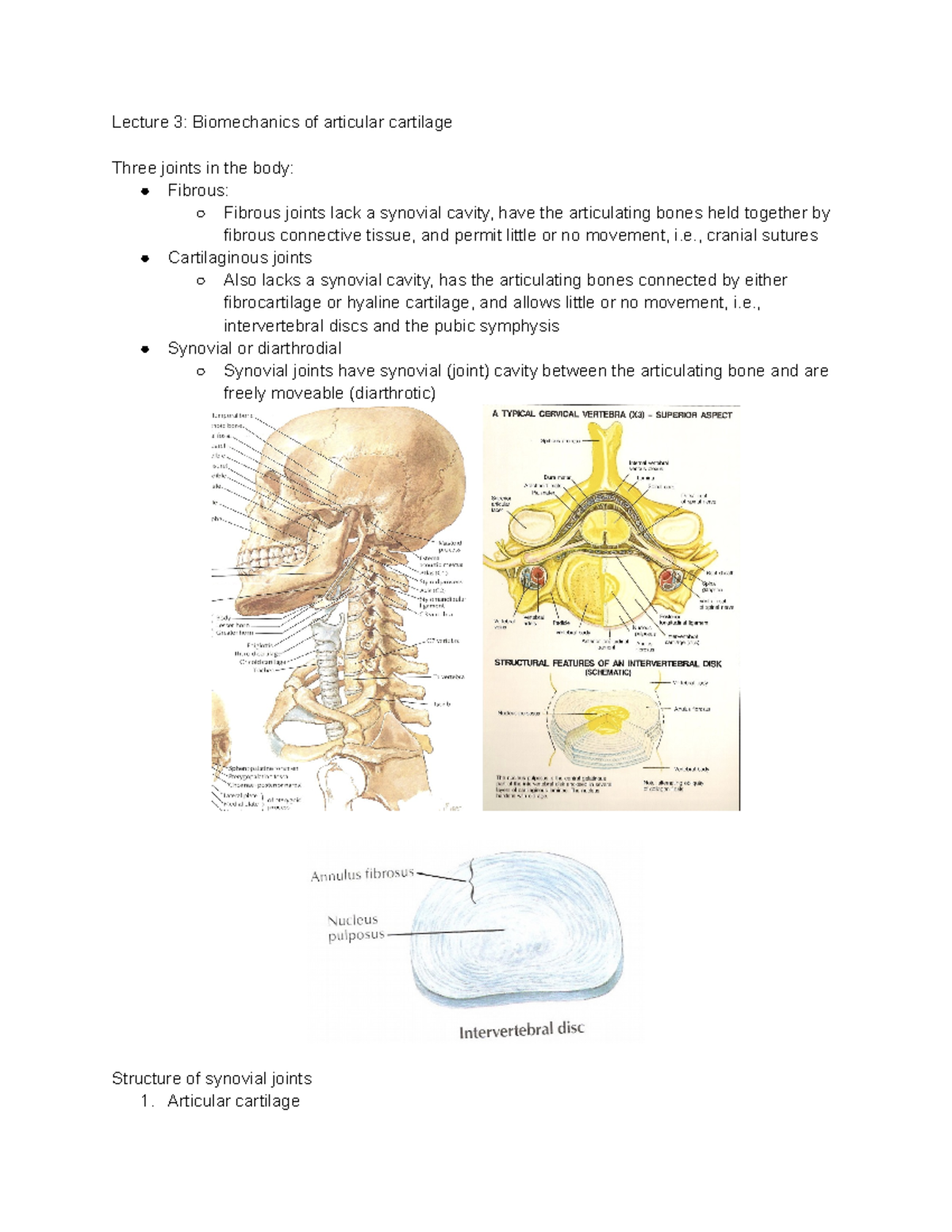 Biomechanics: Articular cartilage, tendons, ligaments - Lecture 3 ...