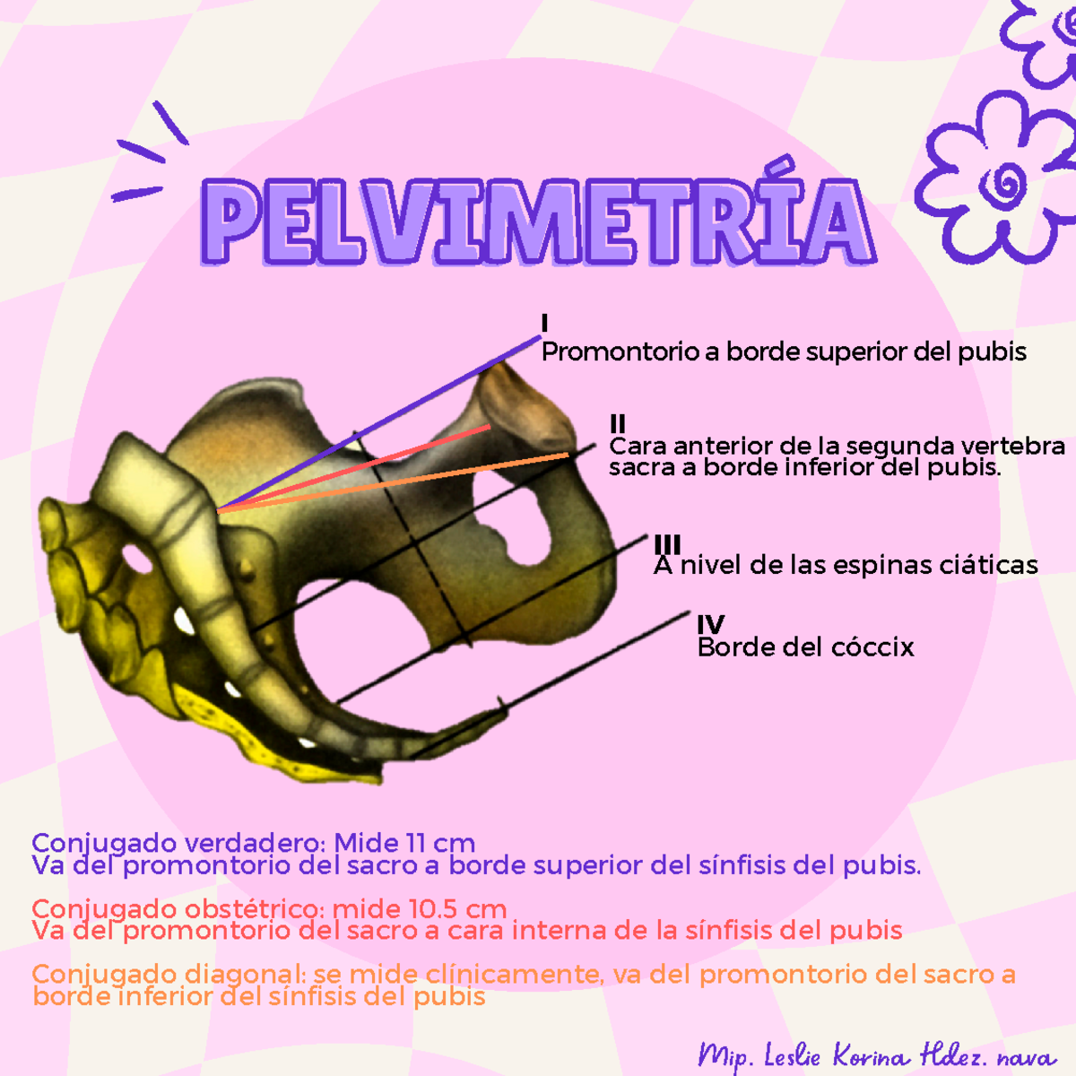 Pelvimetria: conjugado verdadero, obstetrico y diagonal ...