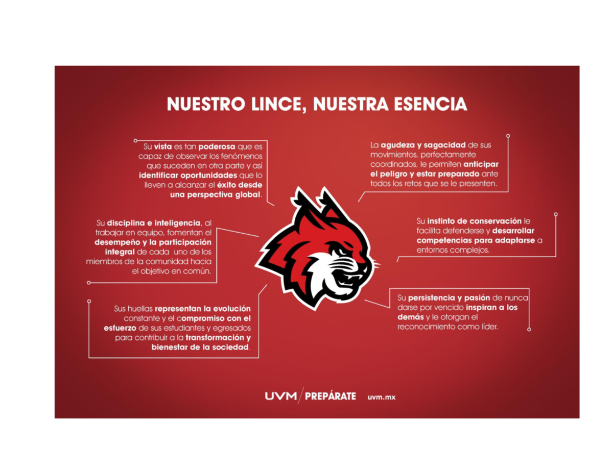 Cualidades DEL Lince UVM - Estrategias de Aprendizaje e Indagación - Studocu