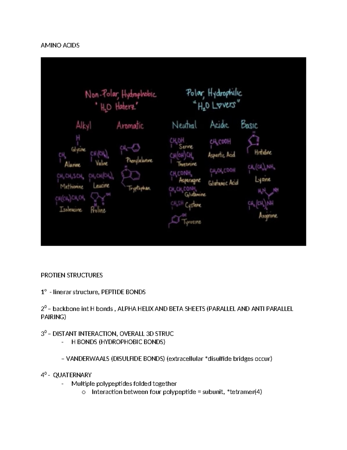 Study - AA N OTES - CHEM2360 - AMINO ACIDS PROTIEN STRUCTURES 1 o ...
