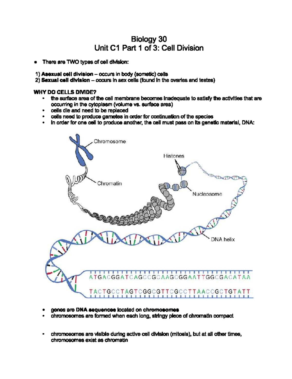 Cell Division Lecture Notes - BIOL 121 - Studocu