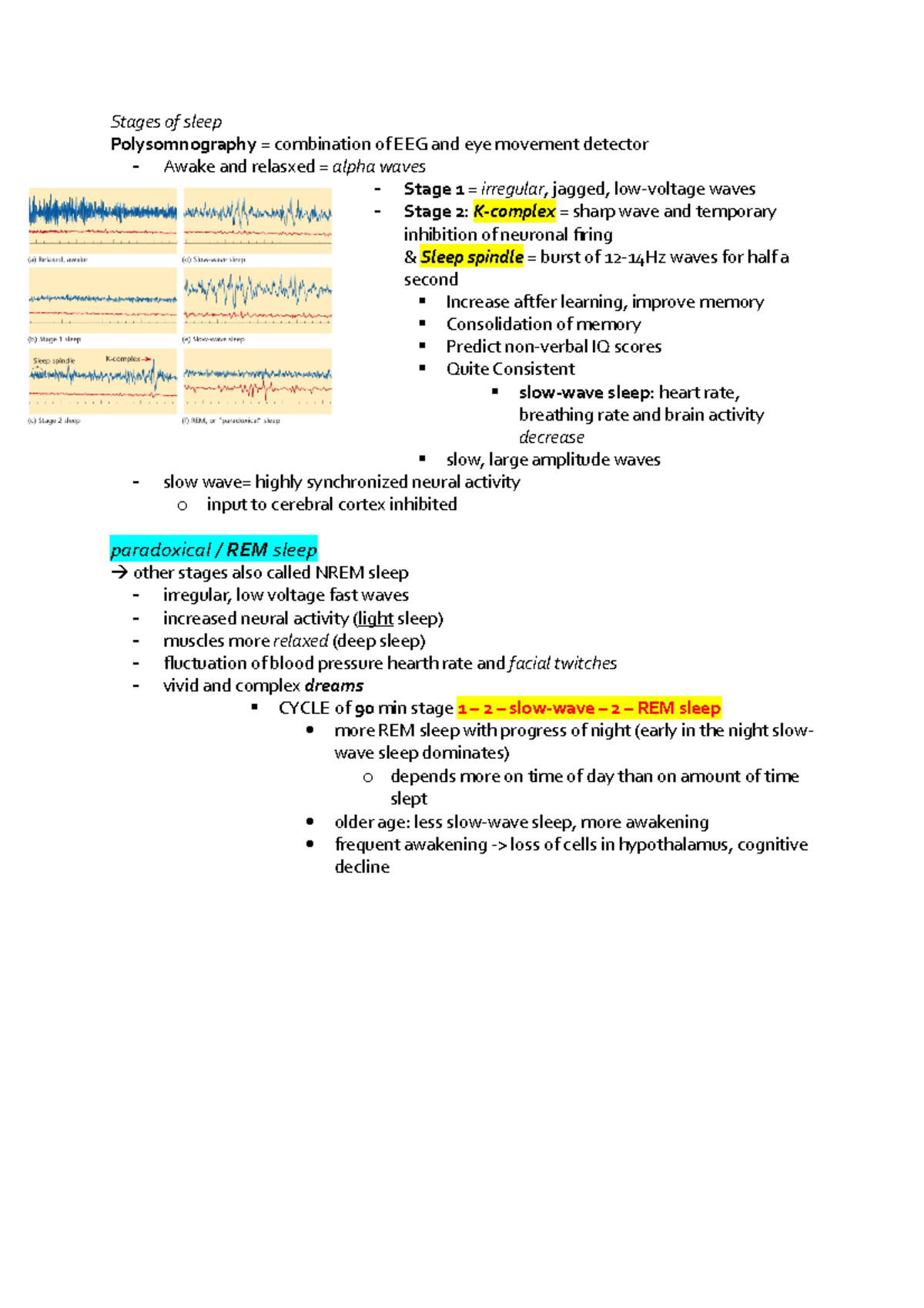 Stages of sleep - Stages of sleep Polysomnography = combination of EEG ...