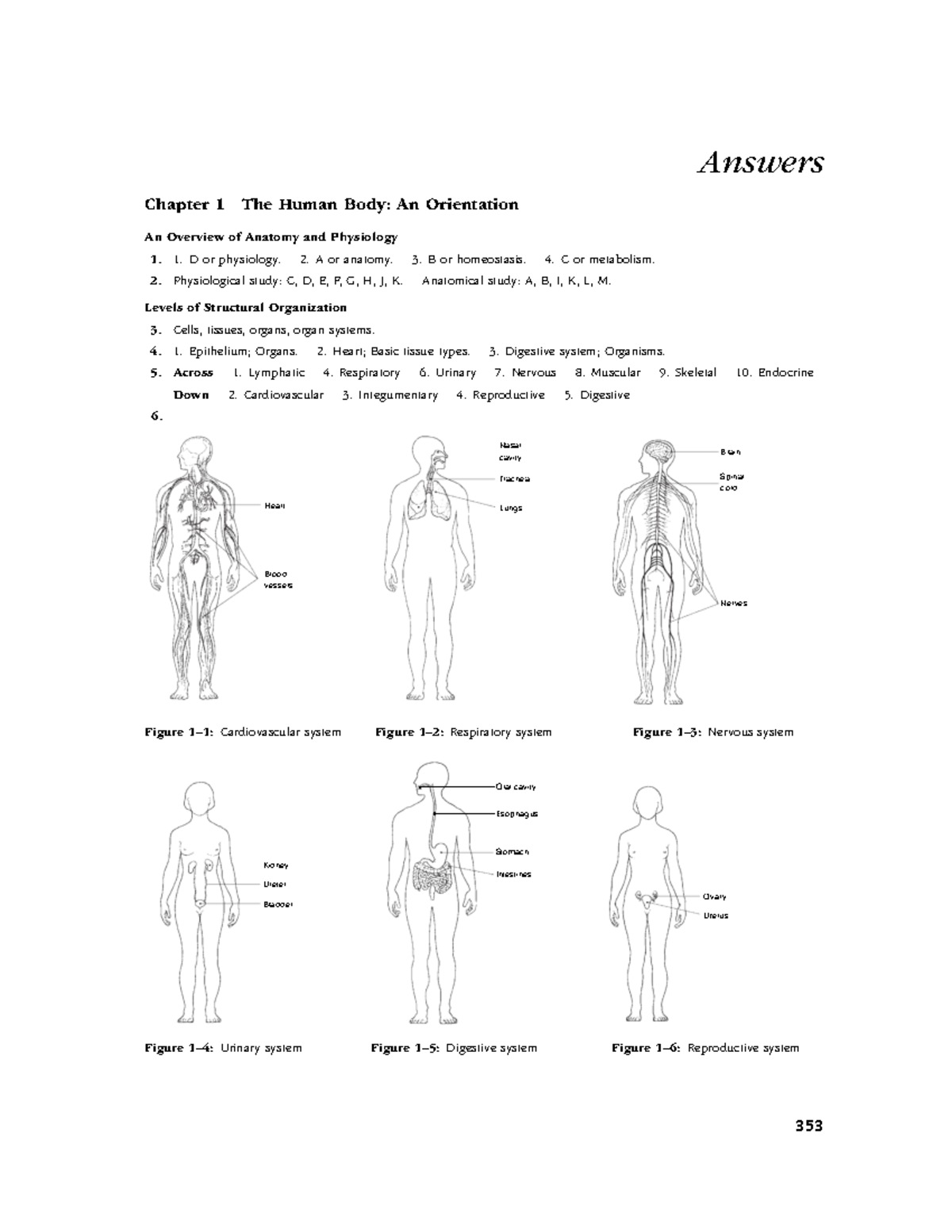 Answer - stuff - Chapter 1 The Human Body: An Orientation An Overview ...