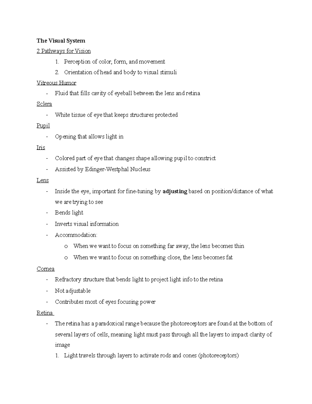 The Visual System Notes - The Visual System 2 Pathways for Vision 1 ...