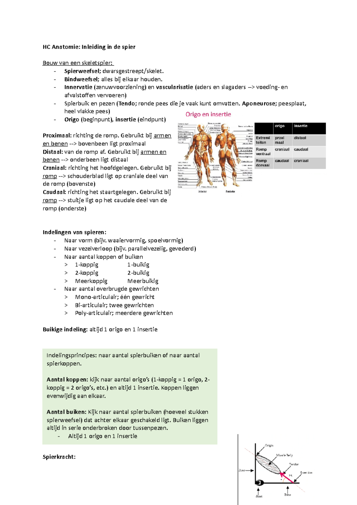 Anatomie - Inleiding van de spier - HC Anatomie: Inleiding in de spier ...