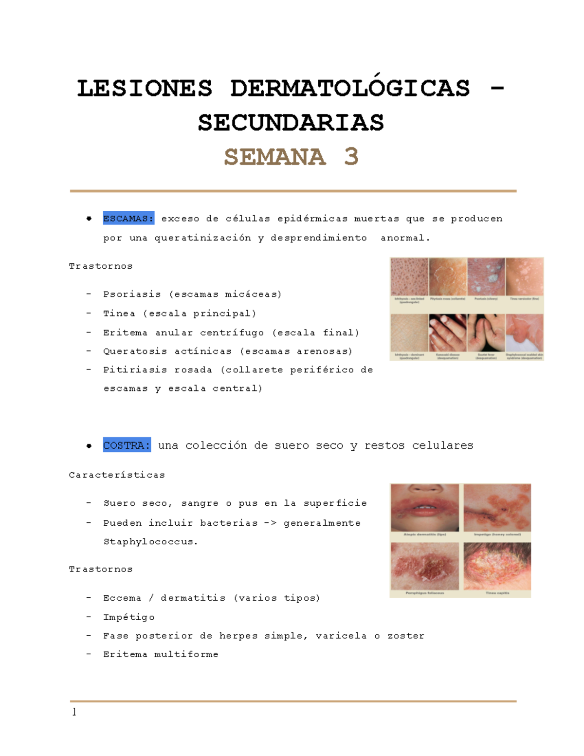 Lesiones Dermatológicas Secundarias - LESIONES DERMATOLÓGICAS ...