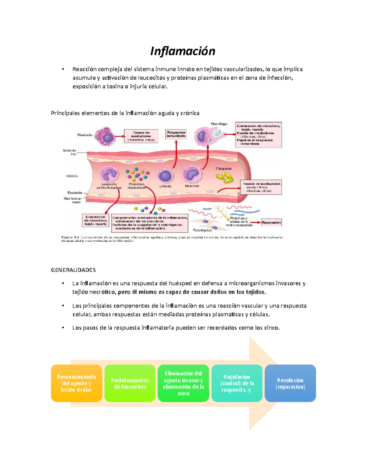 Inflamacion fisiopatologia - Inflamación Reacción compleja del sistema ...