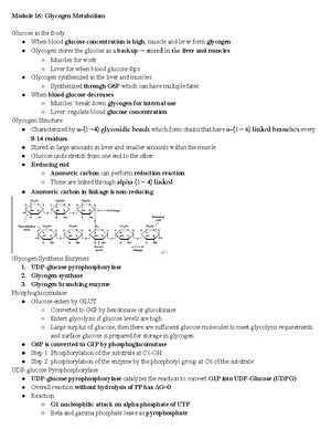 Module 14 Study Guide - Module 14 Study Guide Electron Transport Chain ...