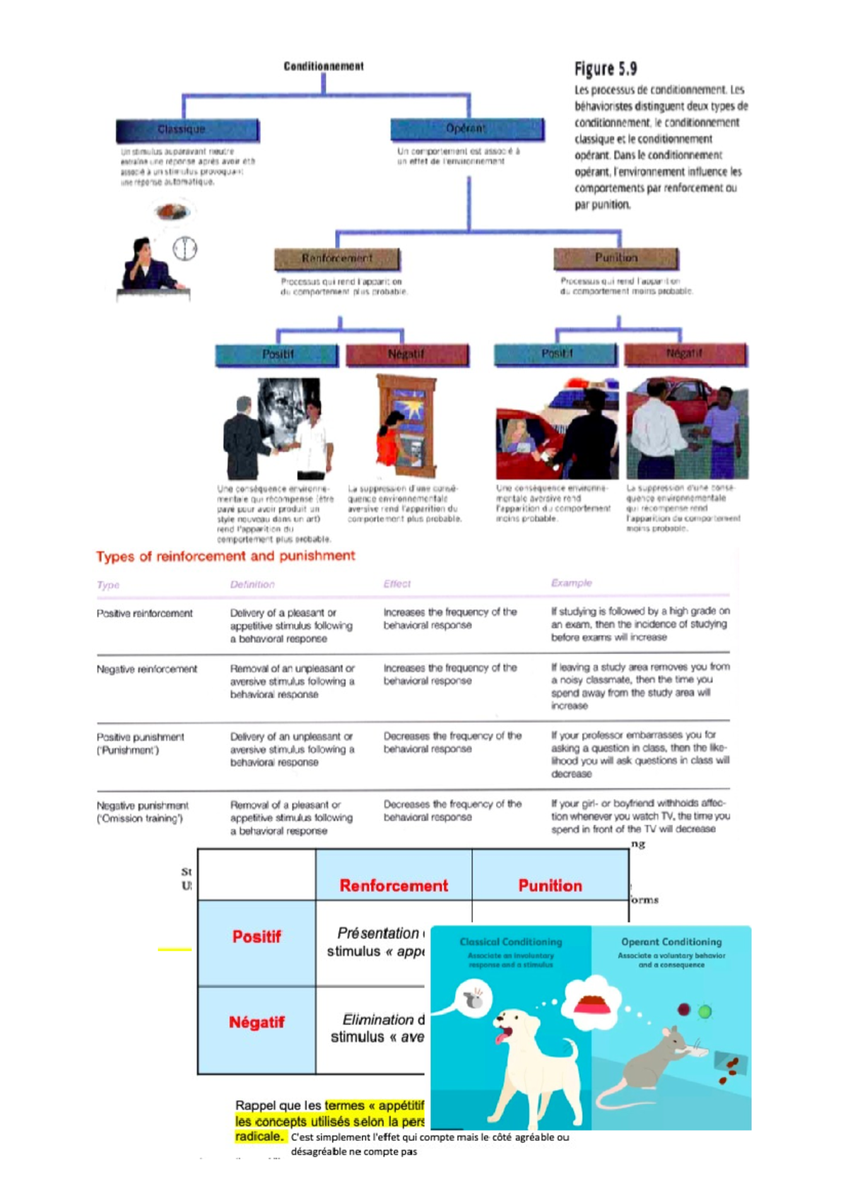 Schemas Conditionnement - Conditionnement Figure 5 Les processus de ...