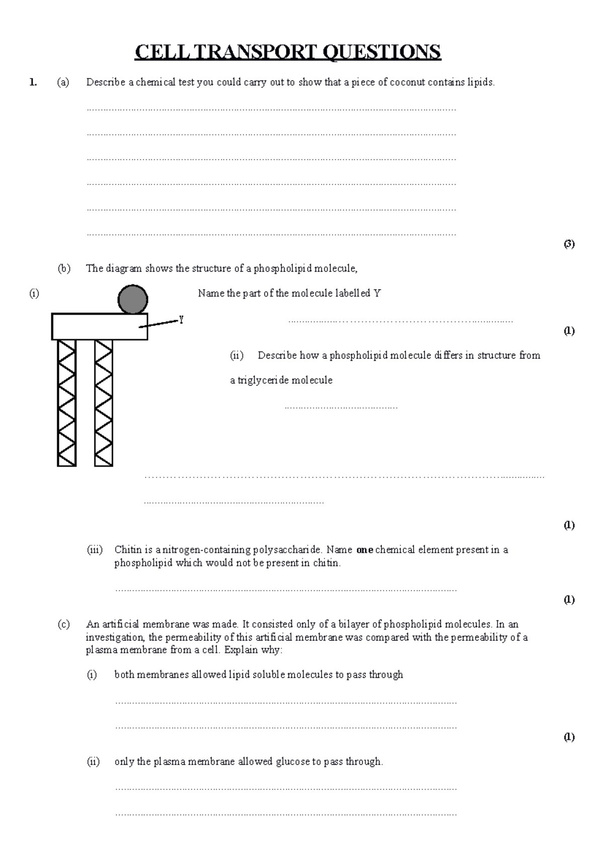 12 - Cell Transport Qus - blah - CELL TRANSPORT QUESTIONS 1. (a ...