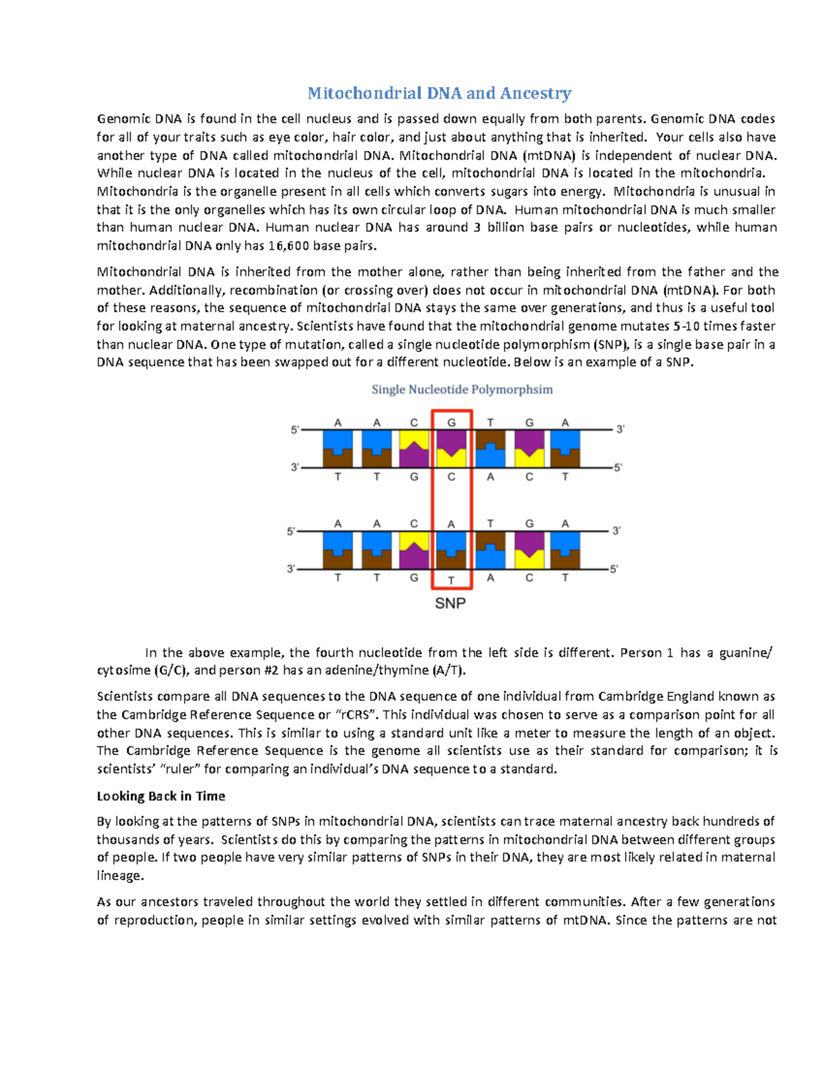 Assignment 1 - mt DNA - Mitochondrial DNA and Ancestry Genomic DNA is ...