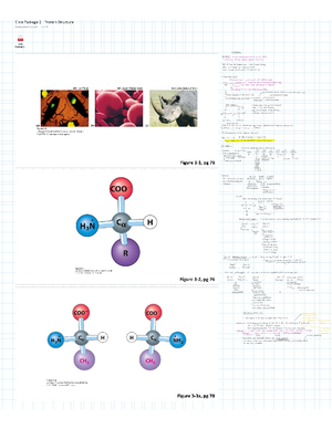 BIOC note chapter1-2 - BIOC 202 note Introduction and review of basic ...