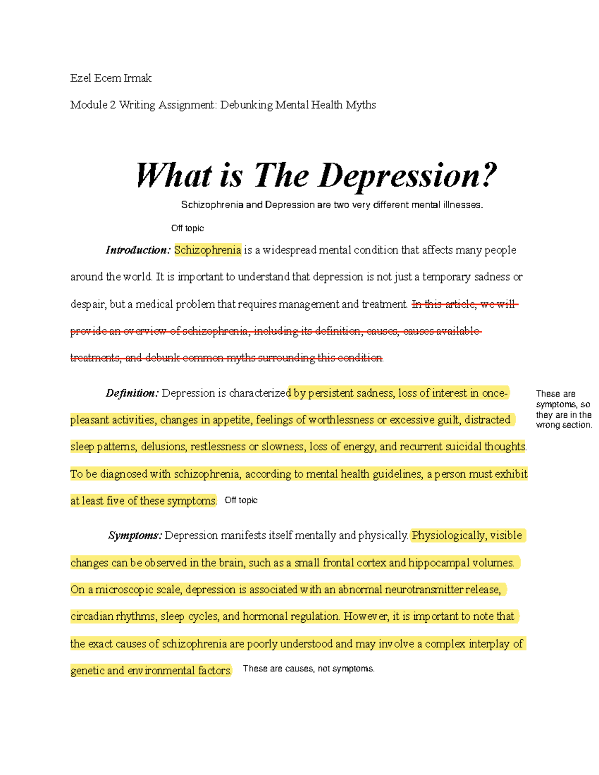 Depression-18907 - Essay - Ezel Ecem Irmak Module 2 Writing Assignment ...