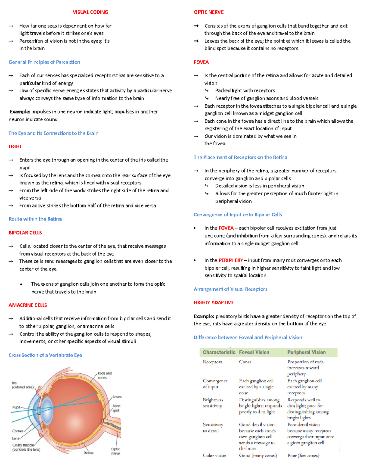 Visual Coding (Autosaved) - VISUAL CODING How far one sees is dependent ...