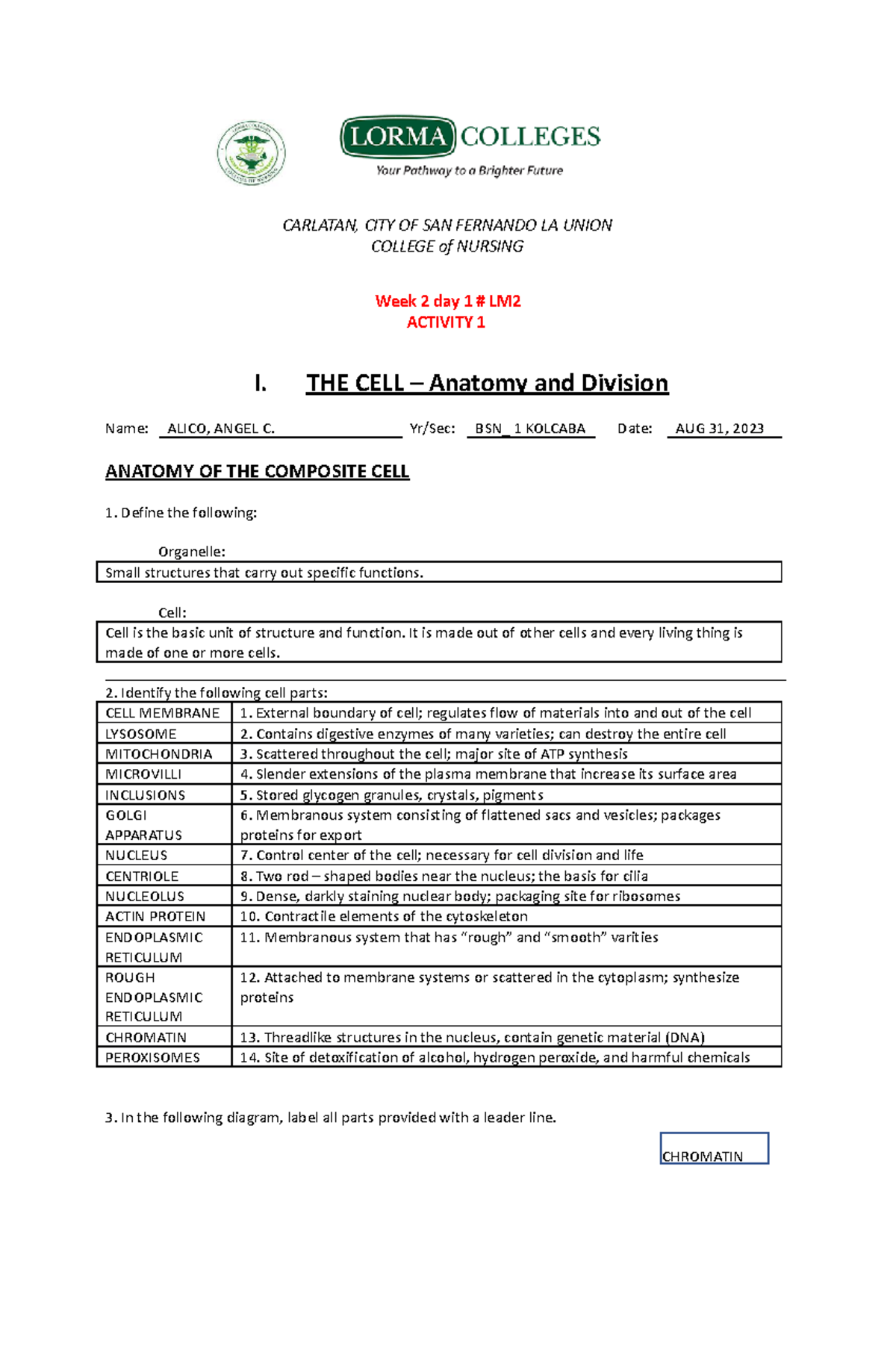 The-Cell-worksheet - anaphy lab - CARLATAN, CITY OF SAN FERNANDO LA ...