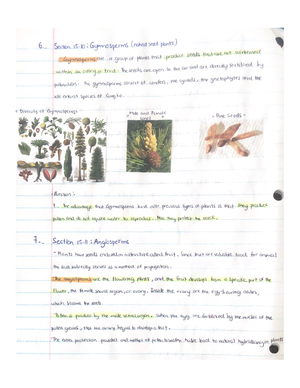 Copy of Copy of AP Biology: Genetics Practice Packet 2024 - Name: - Studocu