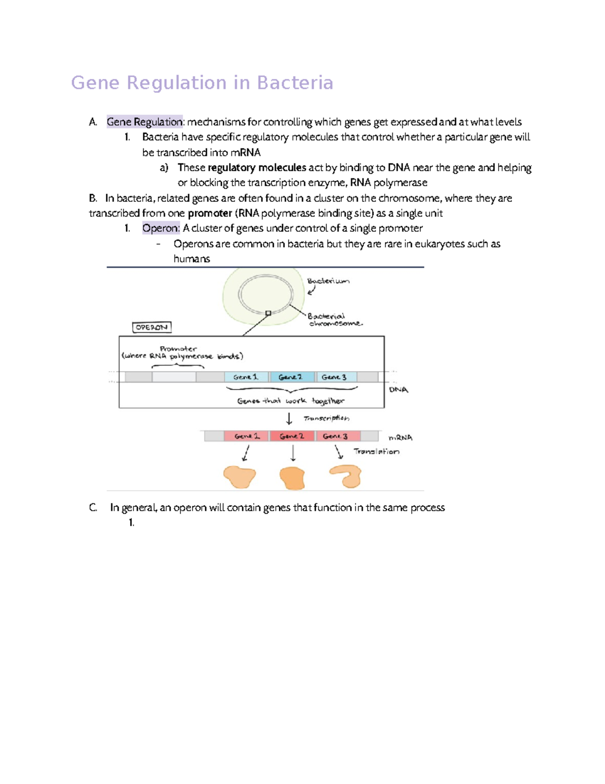 Untitled document - psych module - Gene Regulation in Bacteria A. Gene ...