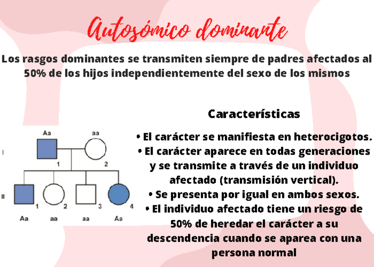 Fichas Herencia Mendeliana - Autosómico dominante Los rasgos dominantes ...