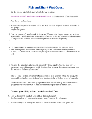 Shark Digital Dissection Worksheet - Shark Dissection Worksheet Define ...