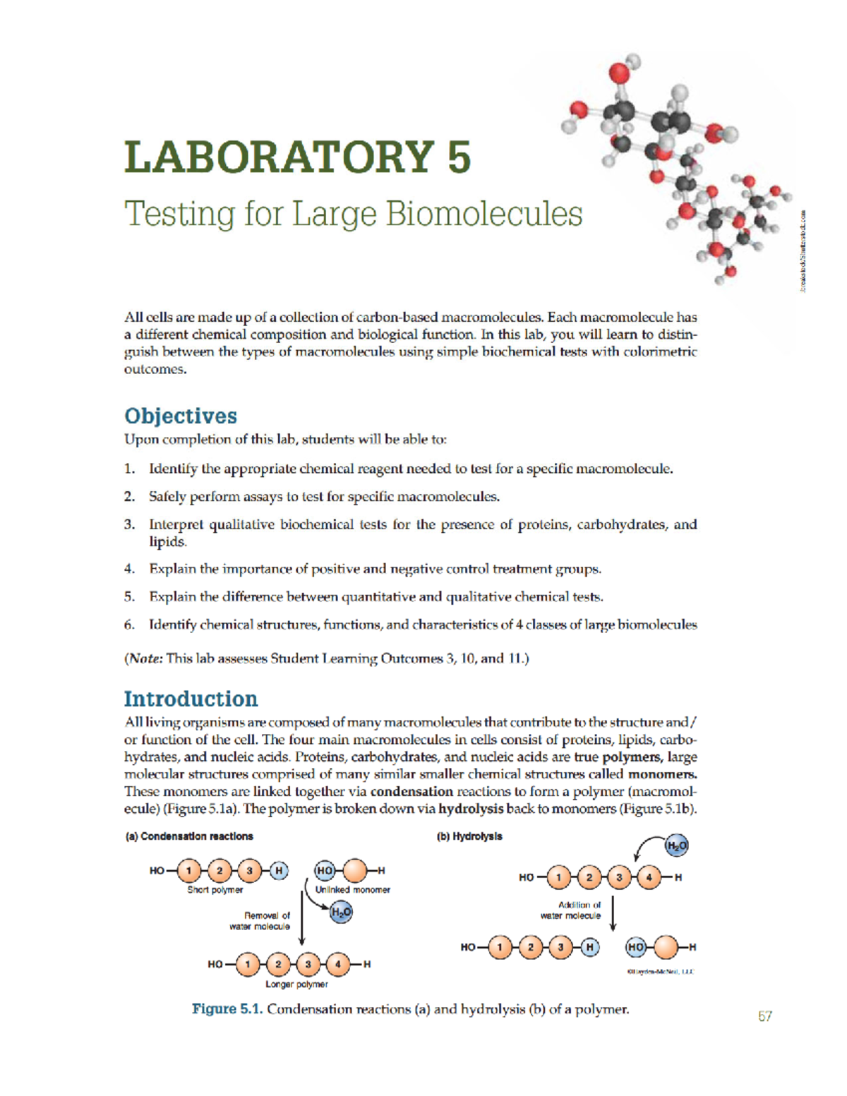 Lab 4- Professor Johnson Lab 5 - BIOL 1406 - Blinn College - Studocu