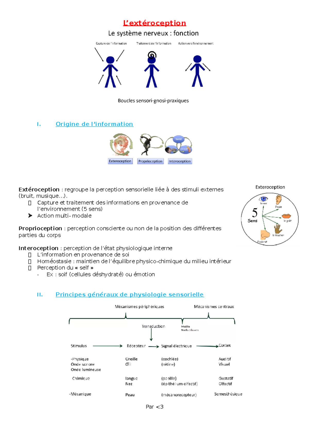 Exteroception - Cours du Pr Brihault - L’extéroception I. Origine de l ...
