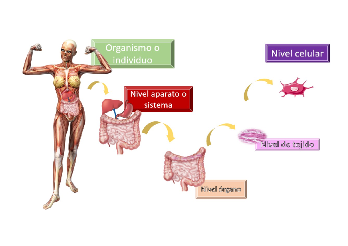 Doc3 - actividades - Foreing Language - Studocu