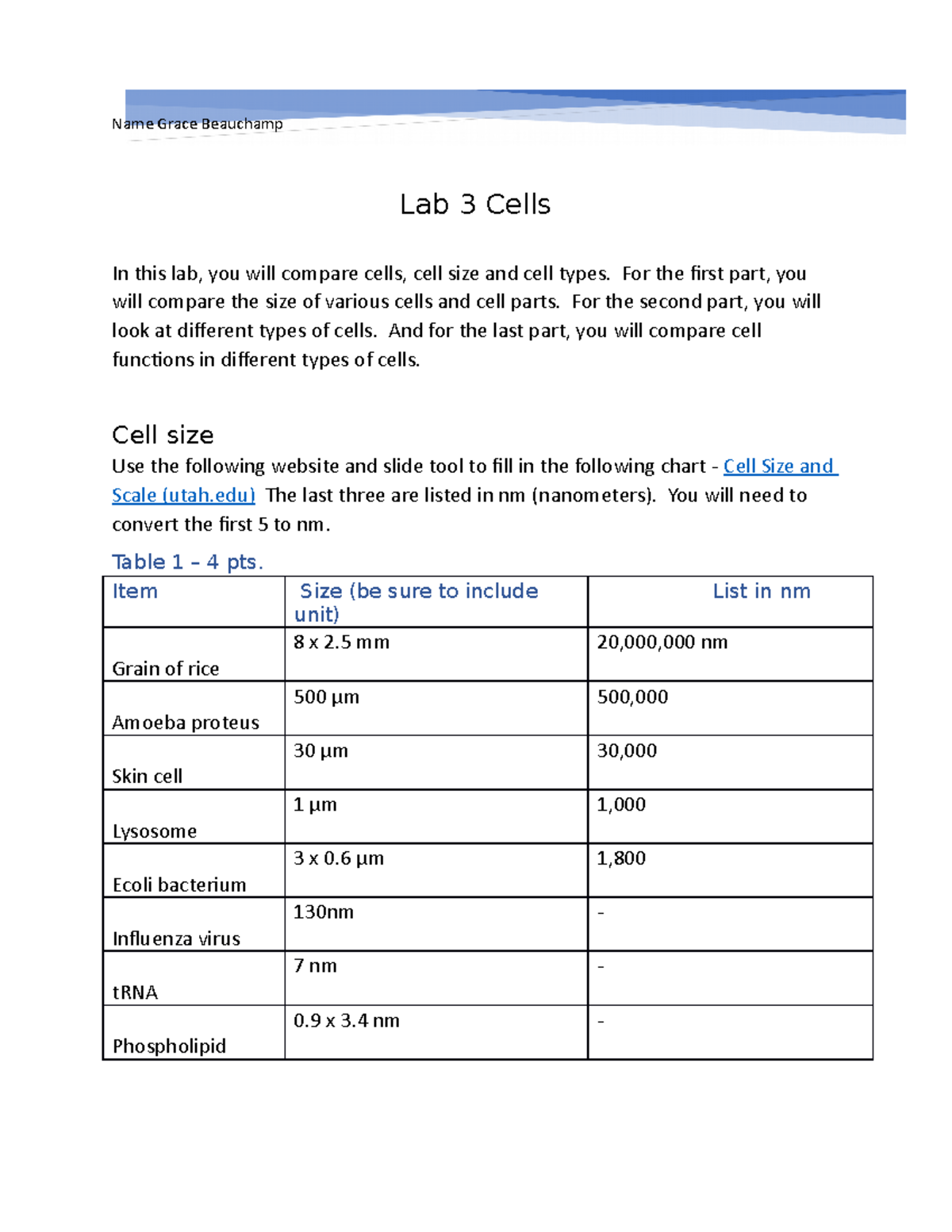 BIO Lab 3 - Cells - lab 3 - Name Grace Beauchamp Lab 3 Cells In this ...