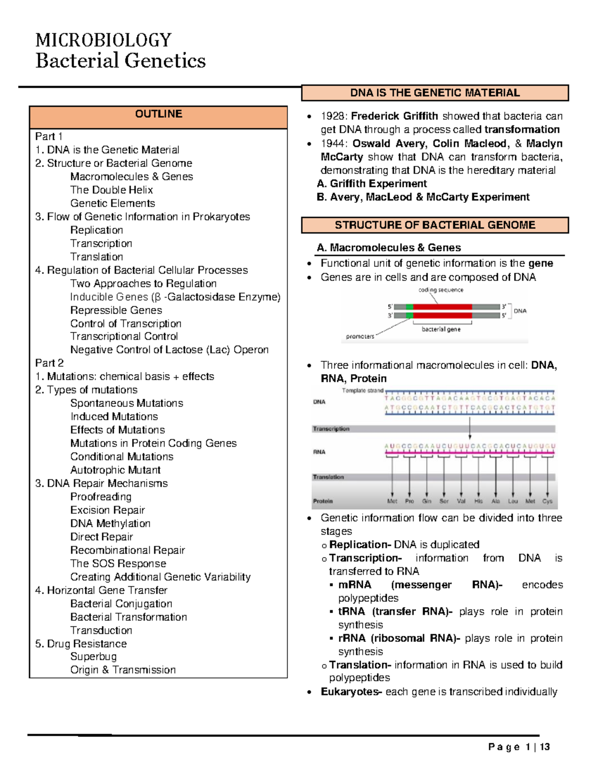 Bio425 Module 8 Bacterial Genetics-Notes - MICROBIOLOGY Bacterial ...