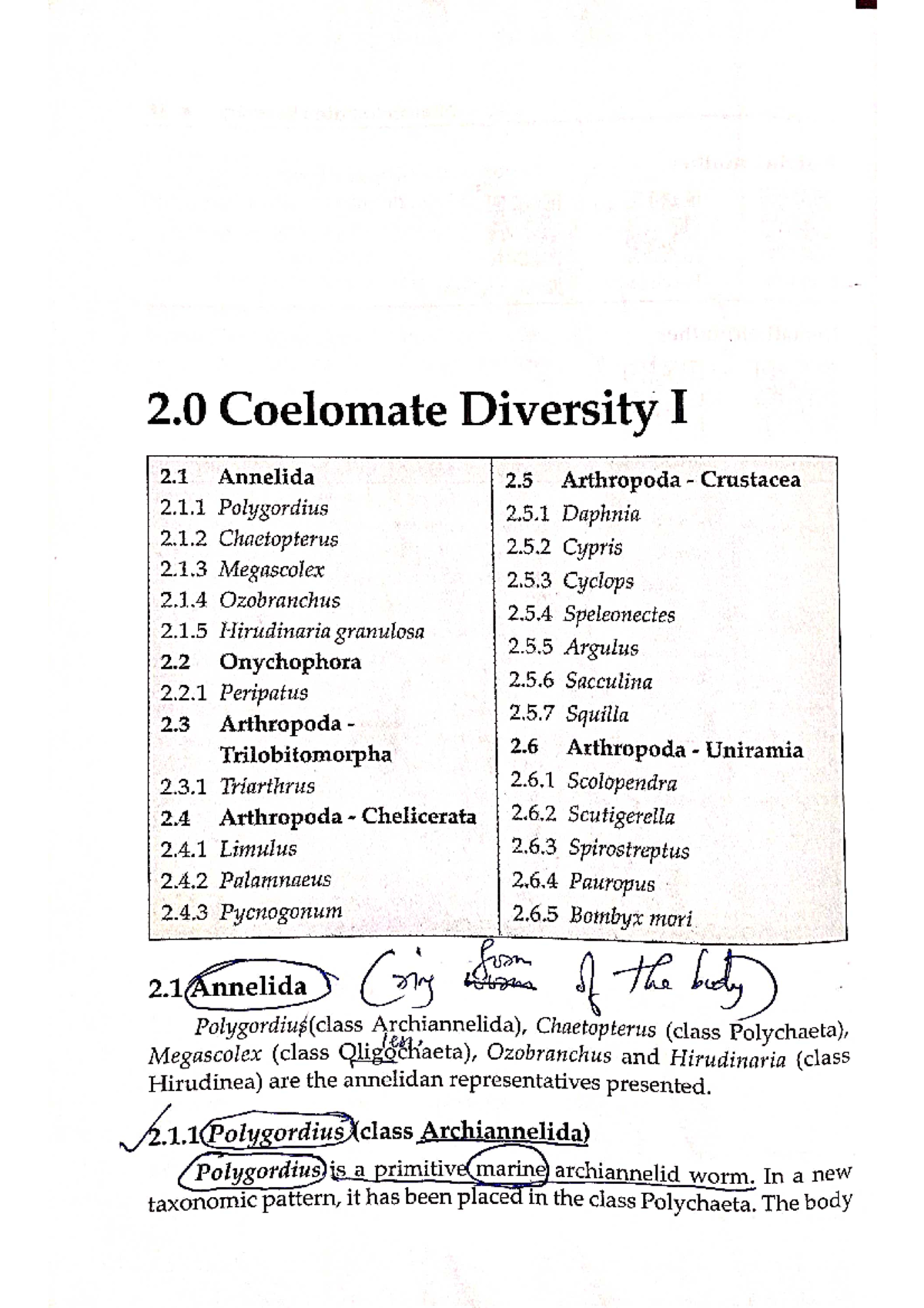 ZOO PART2 - 2 Coelomate Diversity I 2 Annelida 2 Arthropoda Crustacea 2 ...