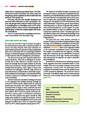 Sdssdfhgsdf sdfh sdfh sdf hsfd hdfs - Bachelor of Secondary Education ...